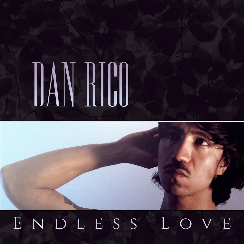 MP-95 DAN RICO "ENDLESS LOVE" LP / MAXIMUM PELT