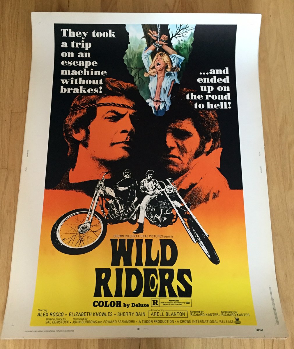 1971 WILD RIDERS Original 30 x 40" Movie Poster | Time Warp Collectibles