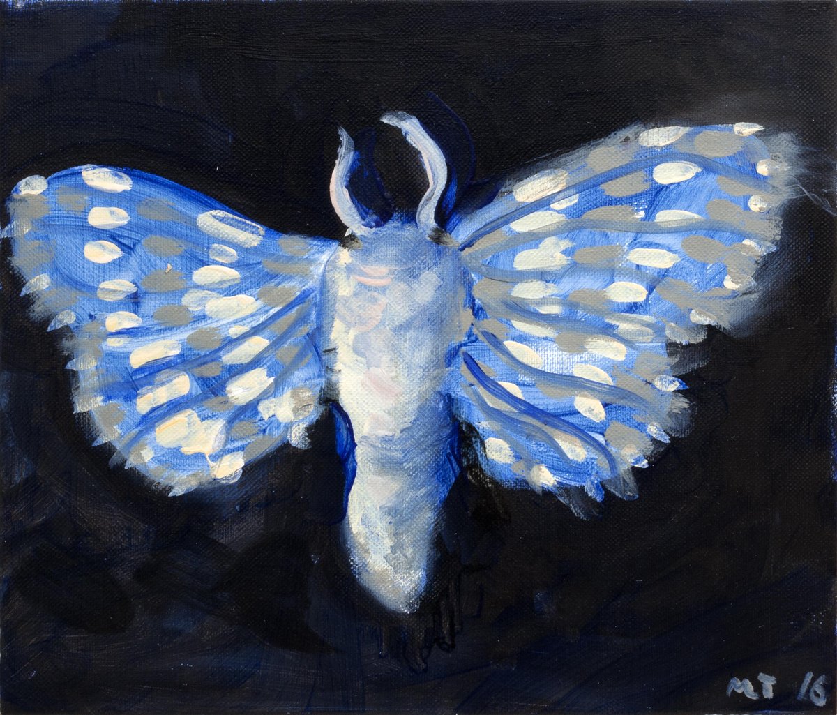Blue moth | Mick Turner Art Store