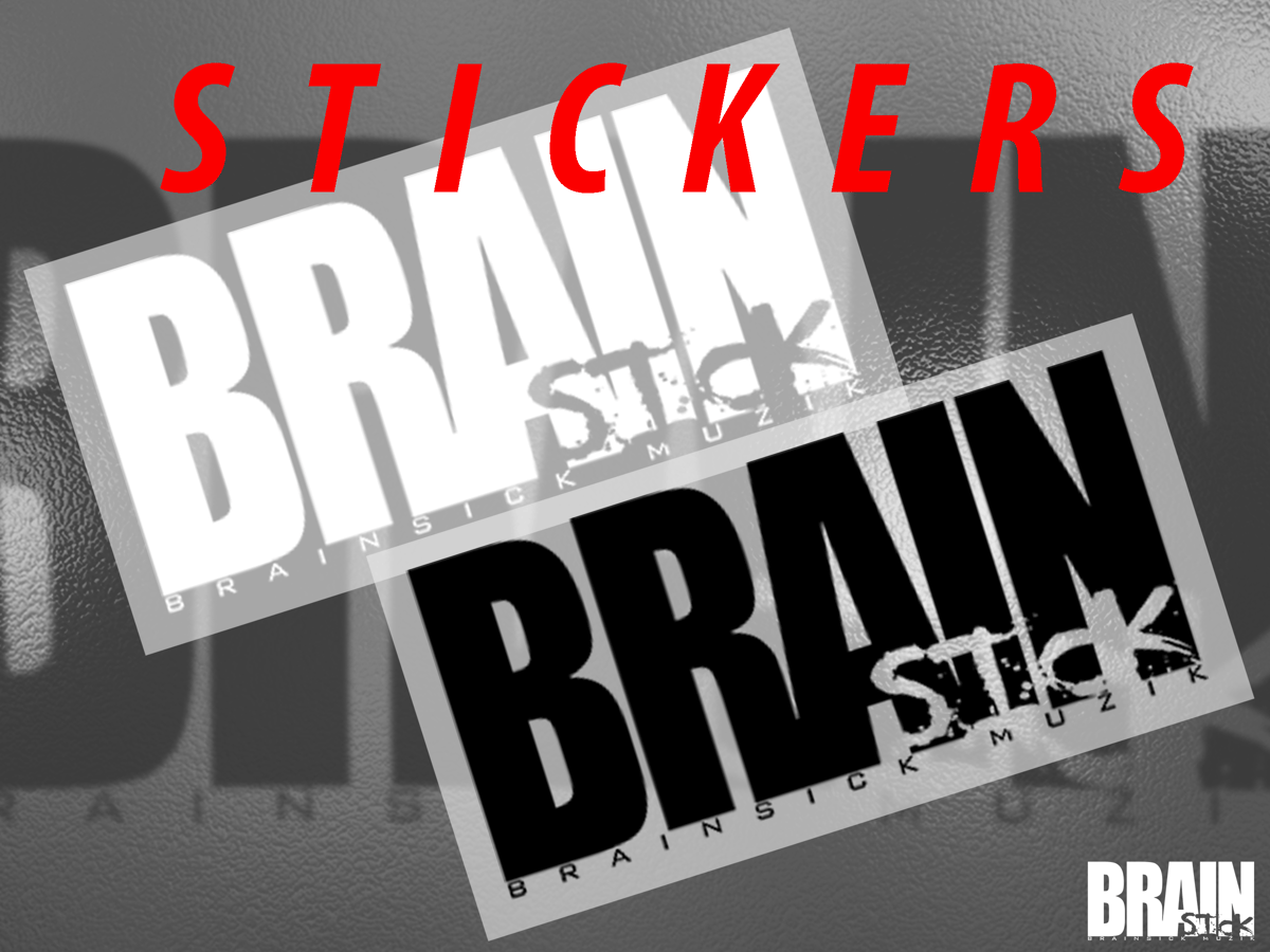 WINDOW STICKERS / BRAINSICK CLOTHING