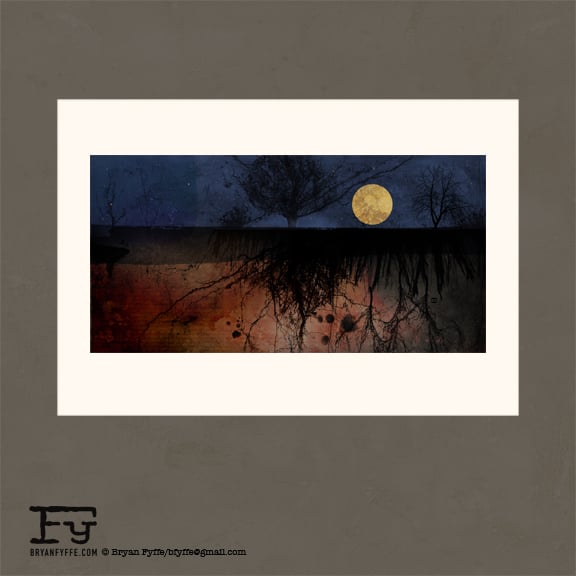 Roots Of Earth I / Bryan Fyffe