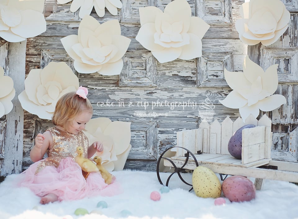 Cake in a Cup Photography — 2017 Easter Mini Sessions