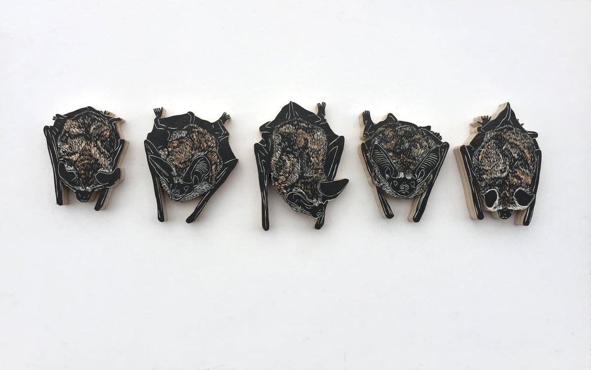 Set of 5 Pallid Bats | Nic Annette Miller