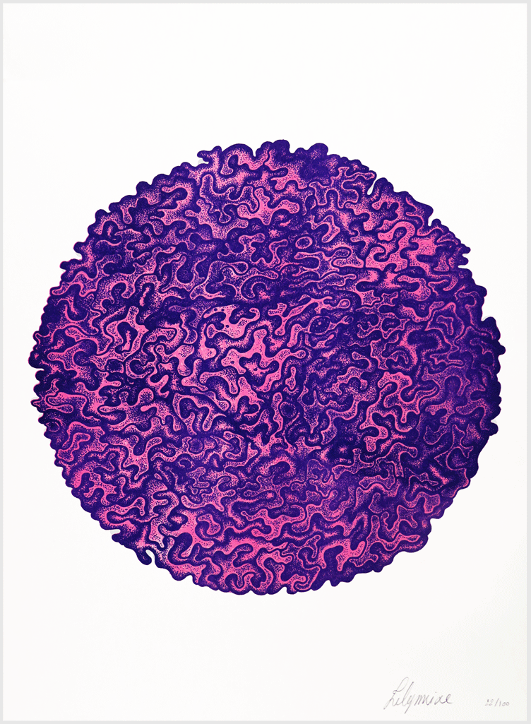 Cryptic coloration frog / Lilymixe