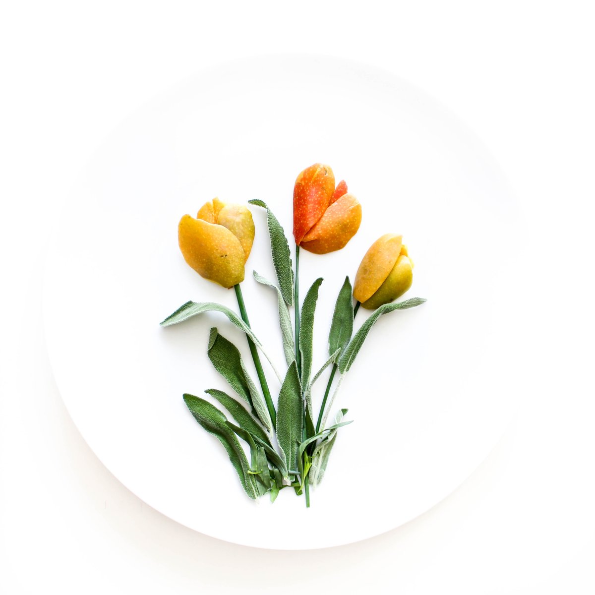 Mango Tulips / culinarycanvas
