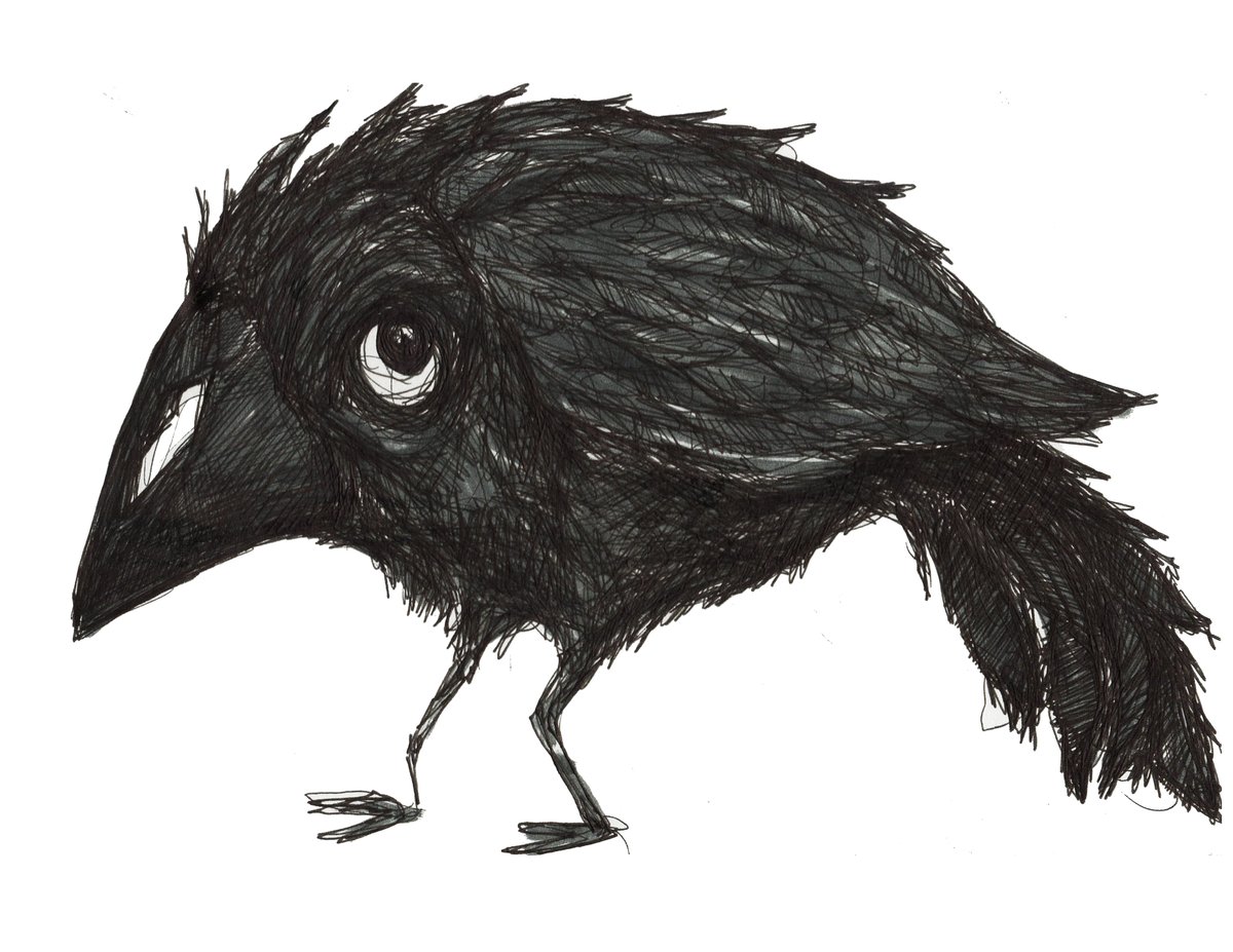 Black Bird Drawing / John Airo