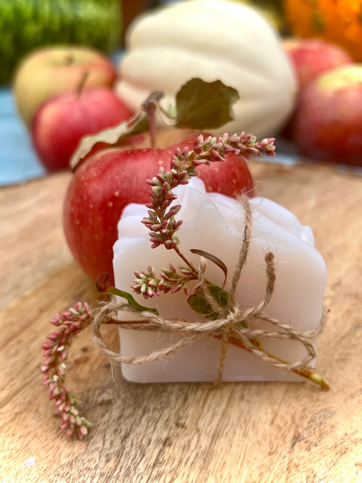 Pure Coconut Oil Soap with Coconut Milk | Enchanted Cabin Soaps