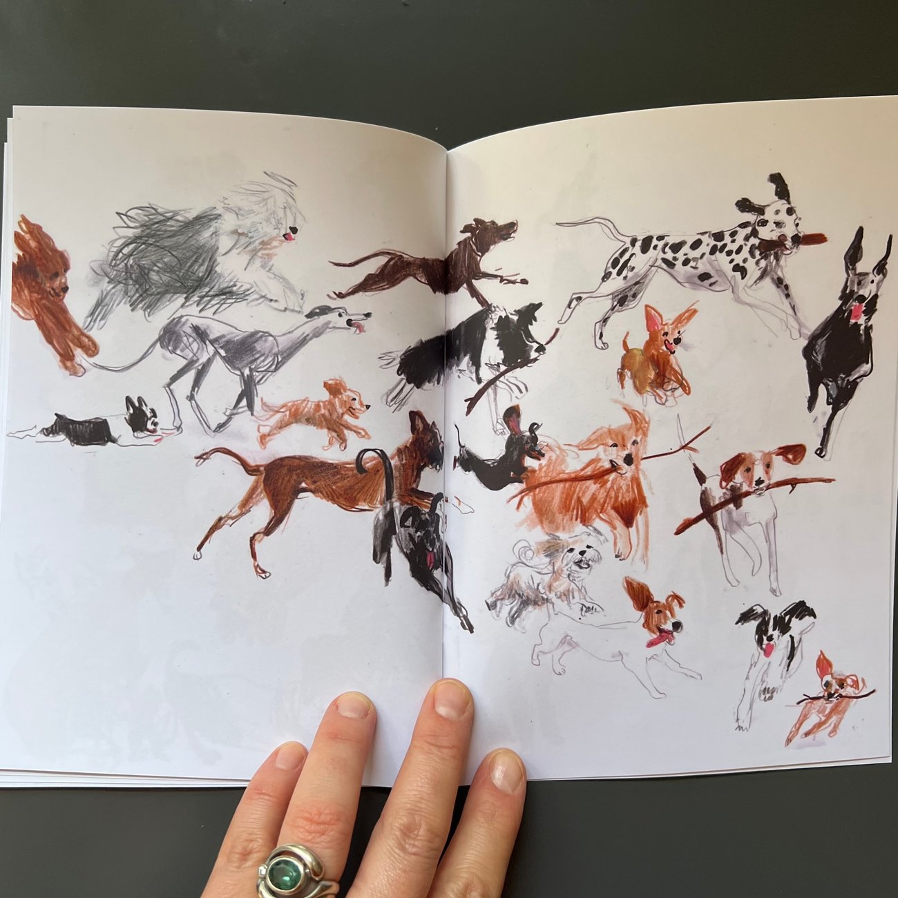 Sketchbook Dogs! - Sketchbook Zine | Jenny Bloomfield Illustration