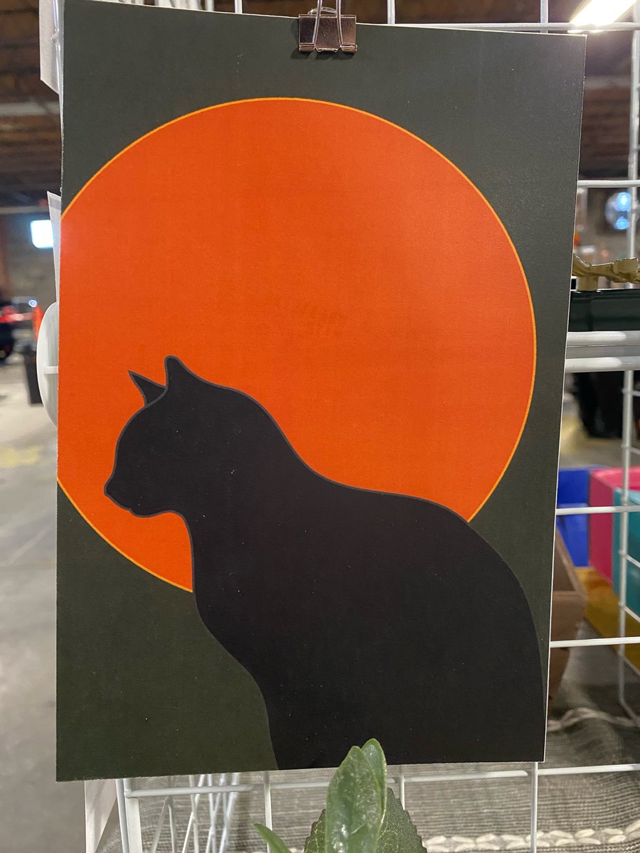 moonlight cat | Wrestling With Design