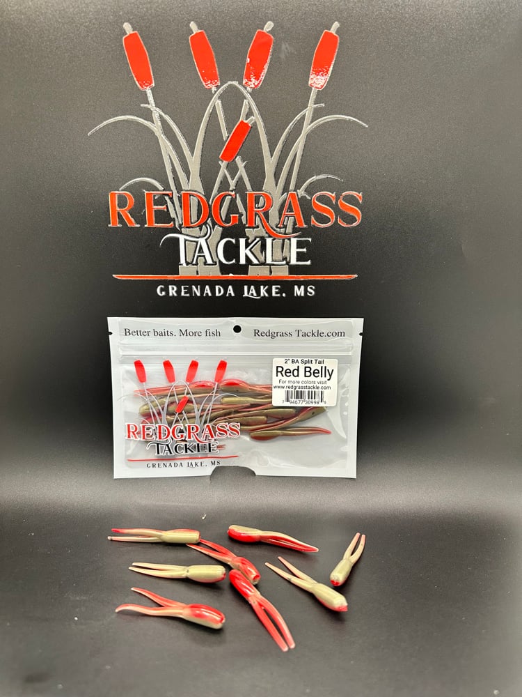 2" BA Split Tail - Red Belly | Redgrass Tackle