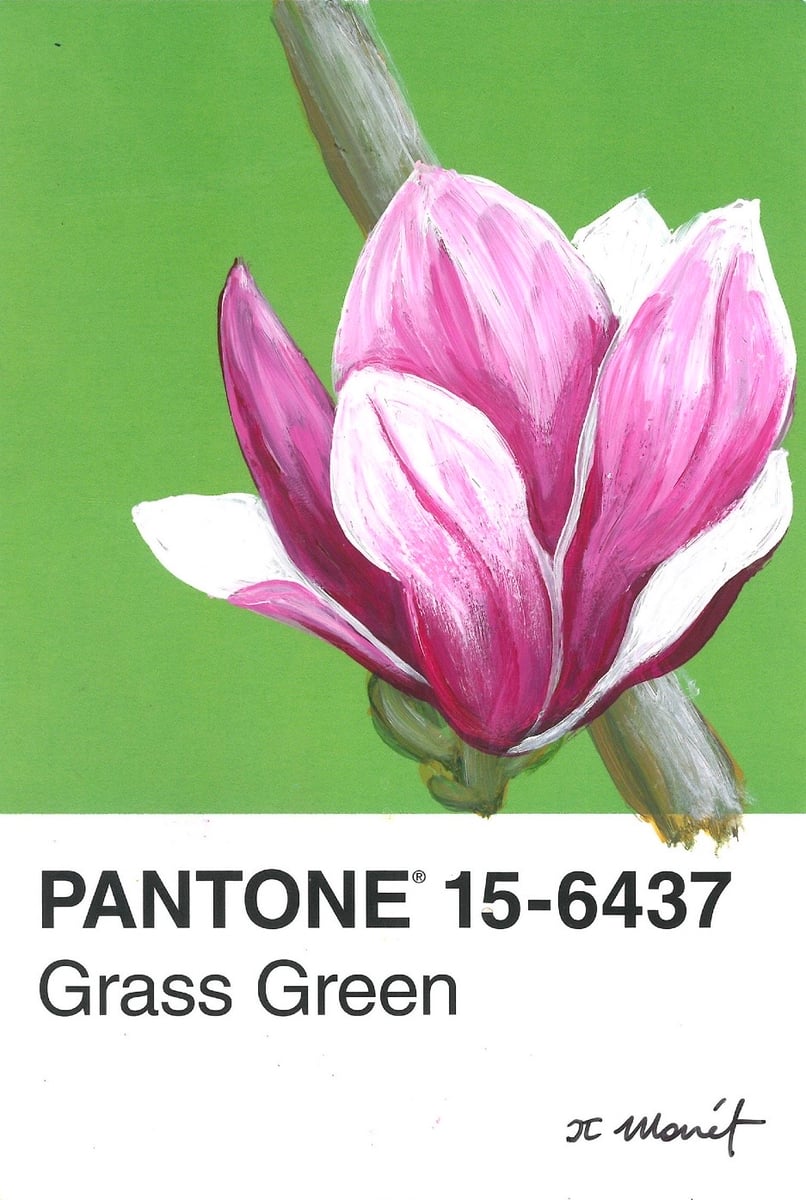 Magnolia Pantone | CJ MONET ART