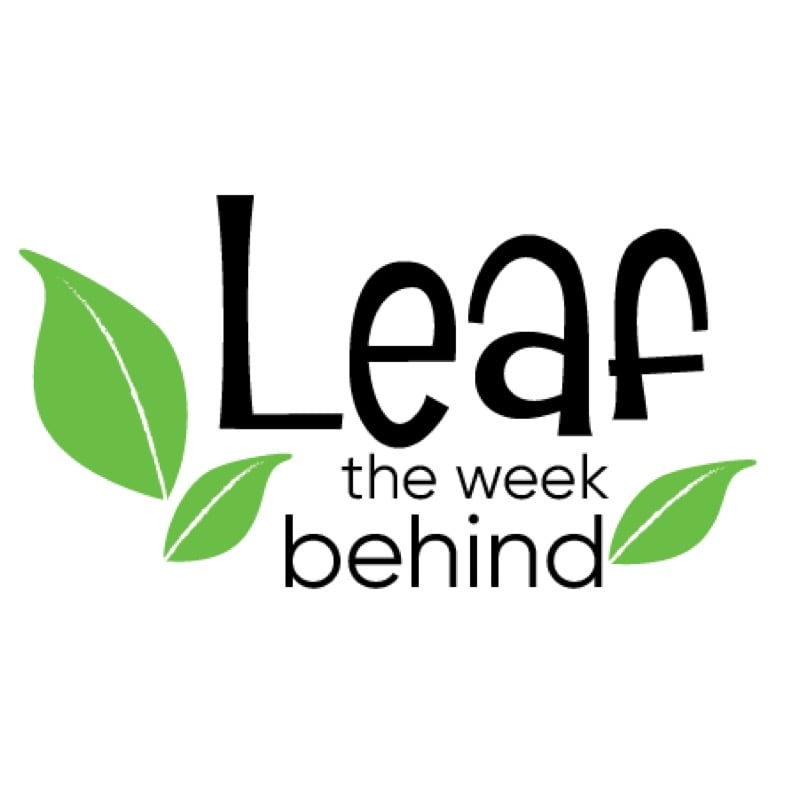 Leaf The Week Behind 2025 Stitch Series - Pattern Only | westcoastwool