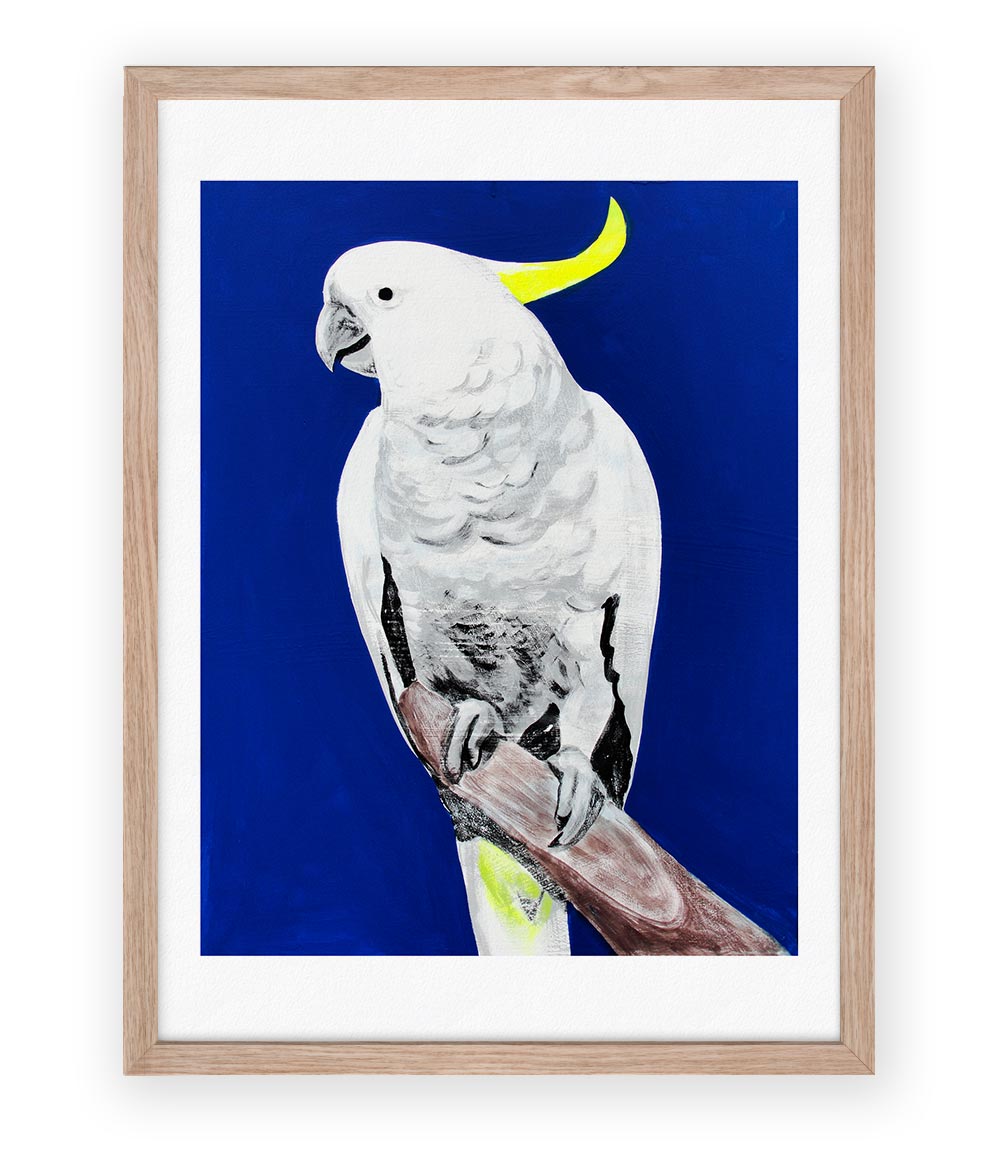 Sulphur Crested Print | Martinich&Carran