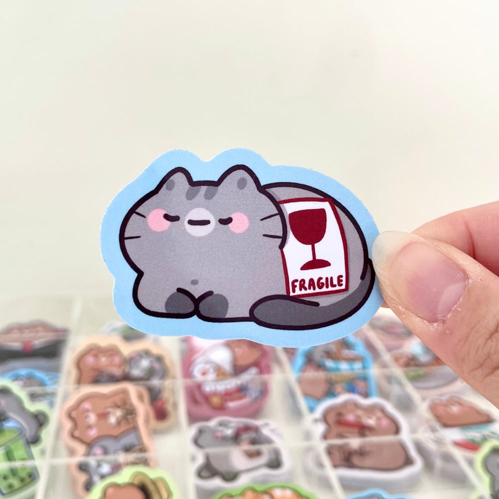 Fragile Cat | Papermilio