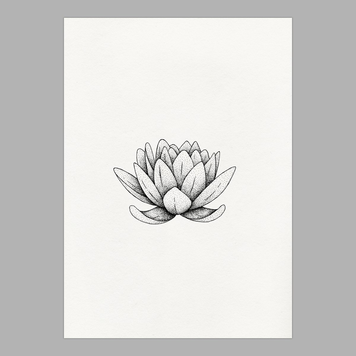 Lotus original ink drawing | Bradley Jay