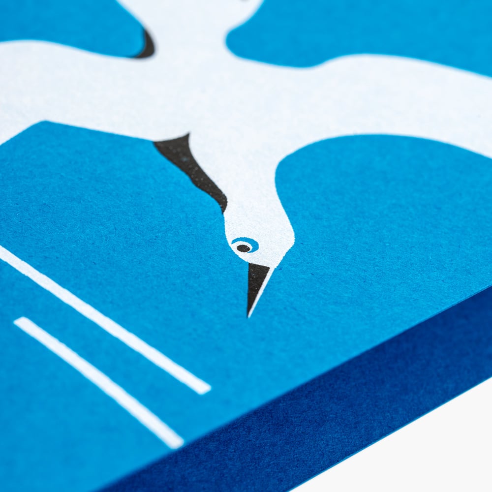 Seabird Card | Pirrip Press