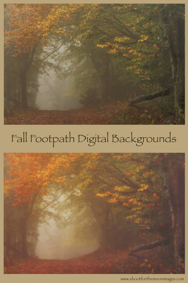 Fall Footpath Digital Backgrounds | Shoot for the Moon Images & Product ...