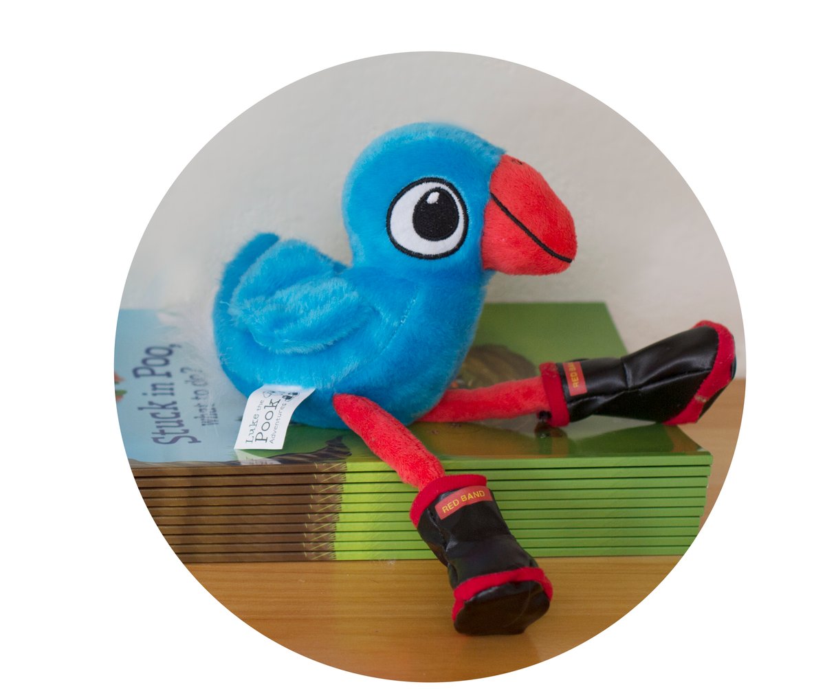 Luke the Pook Soft Toy | Luke the Pook Books