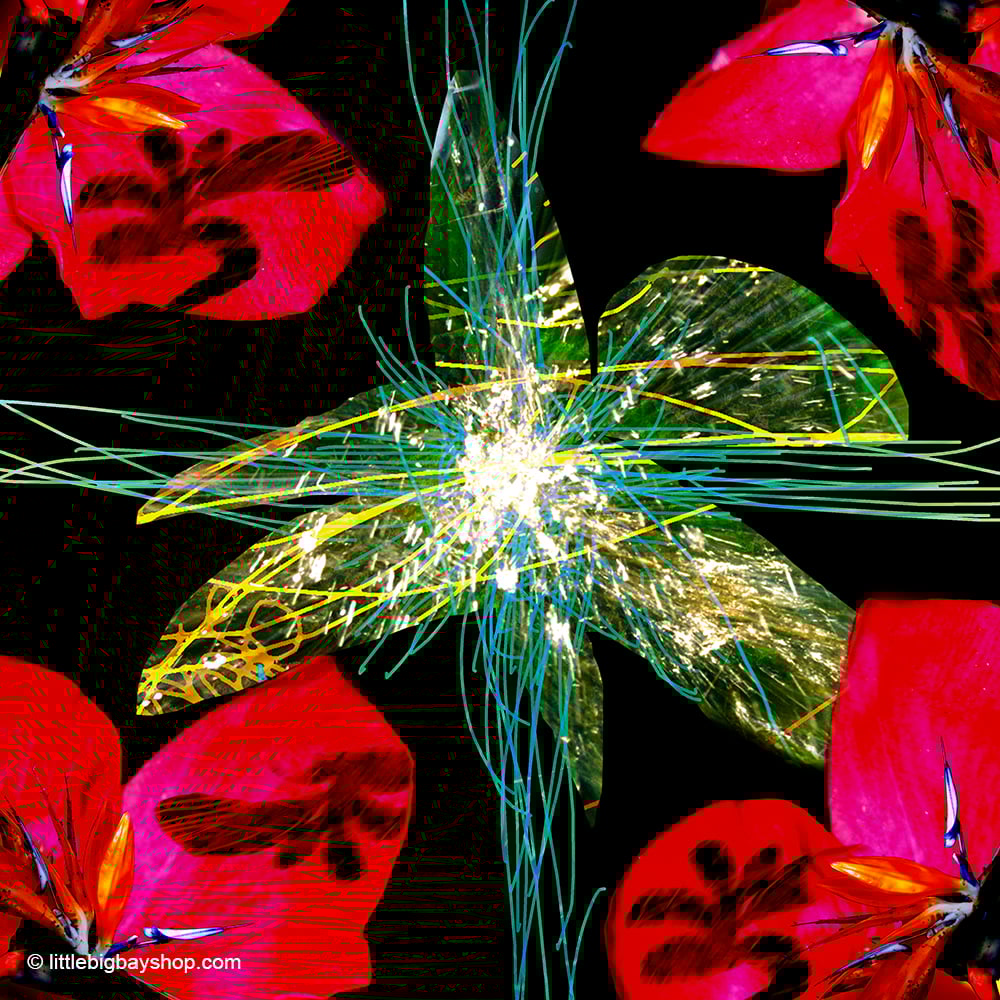 Devotional Mandala | littlebigbayshop