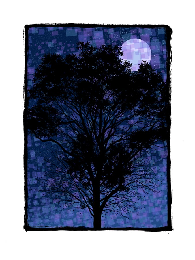 "Paper Moon" | DAN McCARTHY