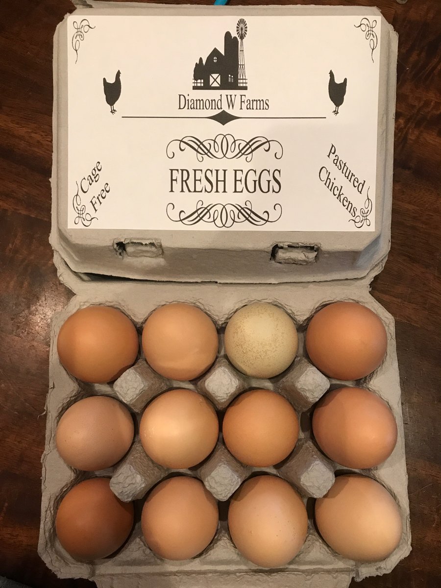 1 dozen eggs | Diamondwfarms