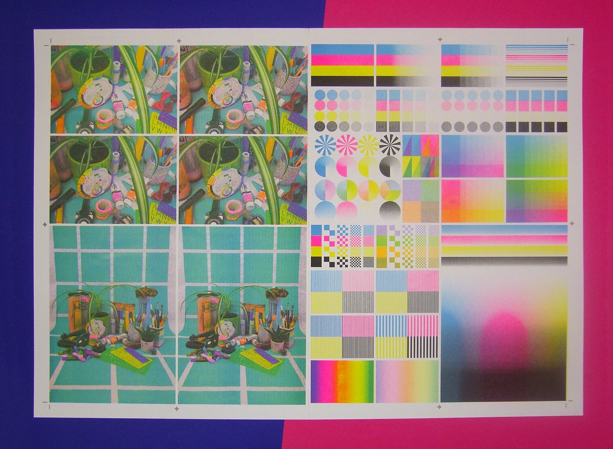 Riso IT8 Chart | Rachel Littlewood