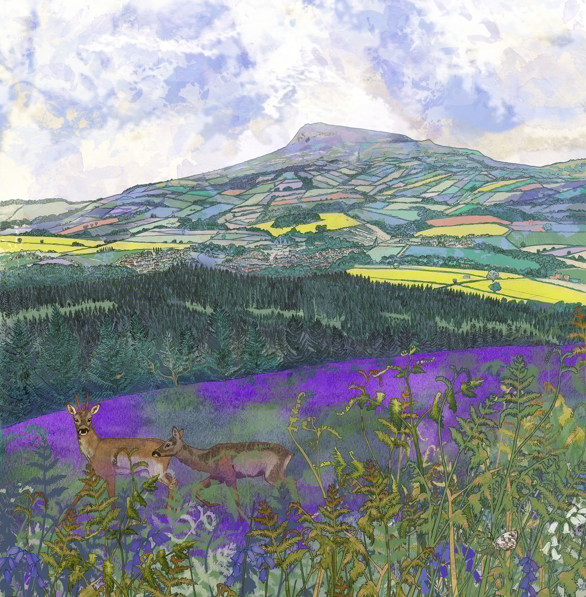 Clee Hill from High Vinnalls | Shelly Perkins Wildlife Art