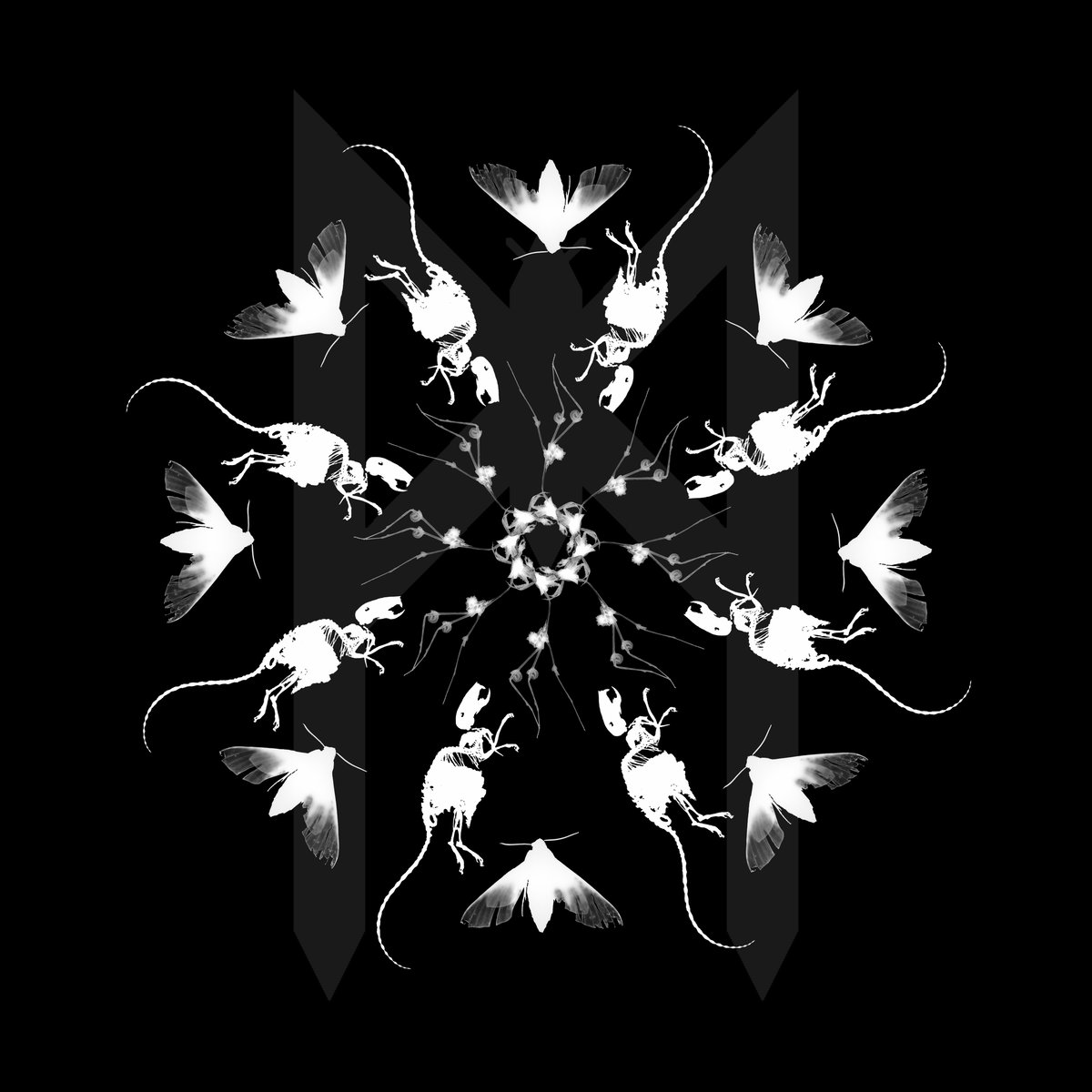 MonoMothDala | MonoMoth