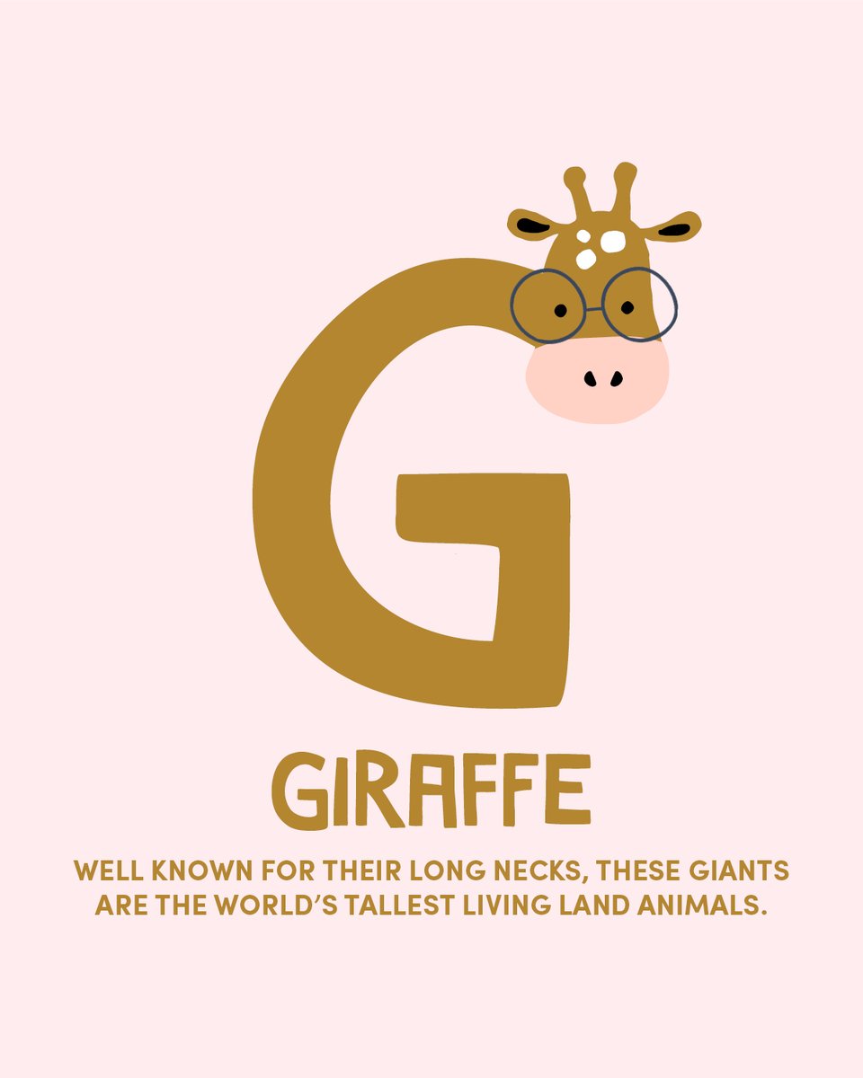 Animal Alphabet Clipart Uppercase Letters