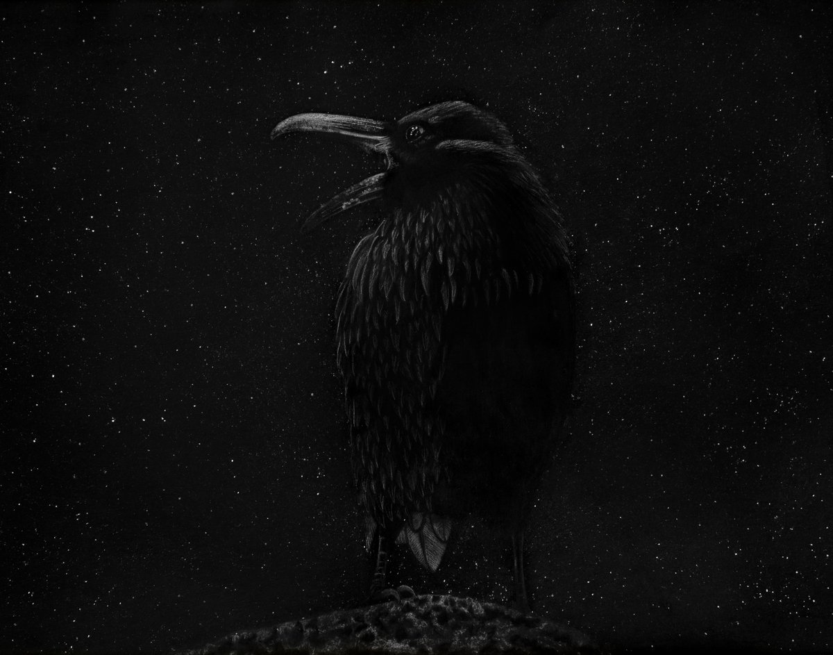 Raven | Casey Neal Artwork