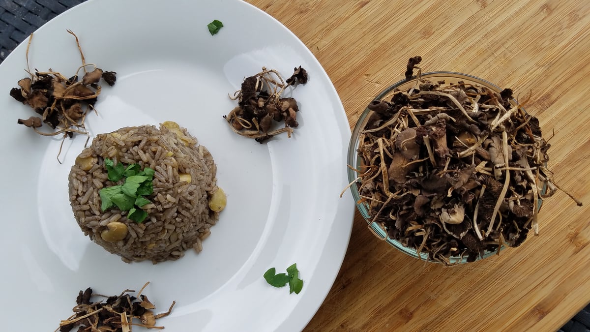 Island Vibe — Djon Djon