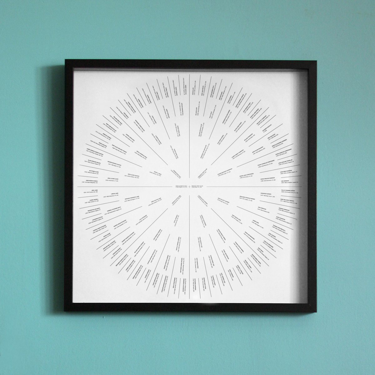 6 Generation Sunburst Family Tree 20"x20" | Modern Trees