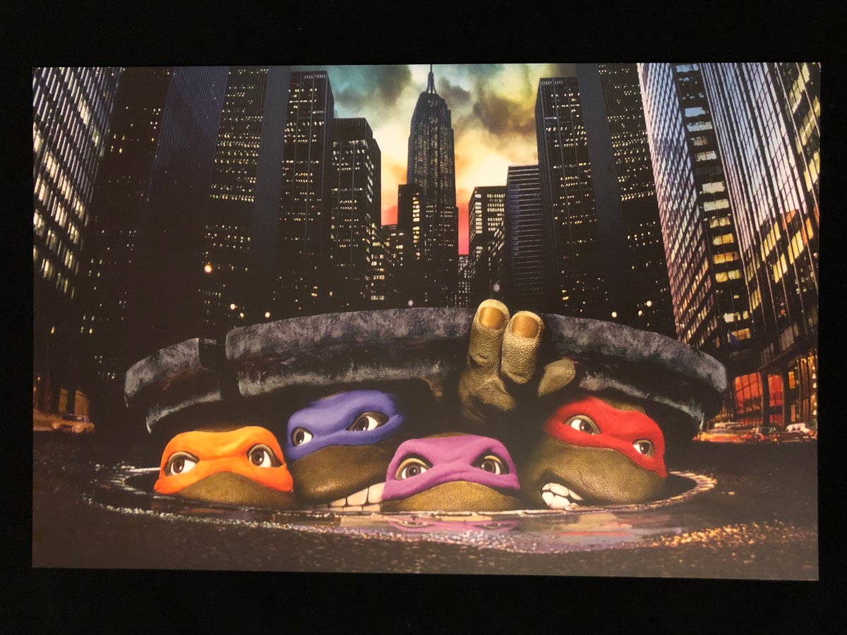 TMNT Sewer Print | TMNT_WIZ