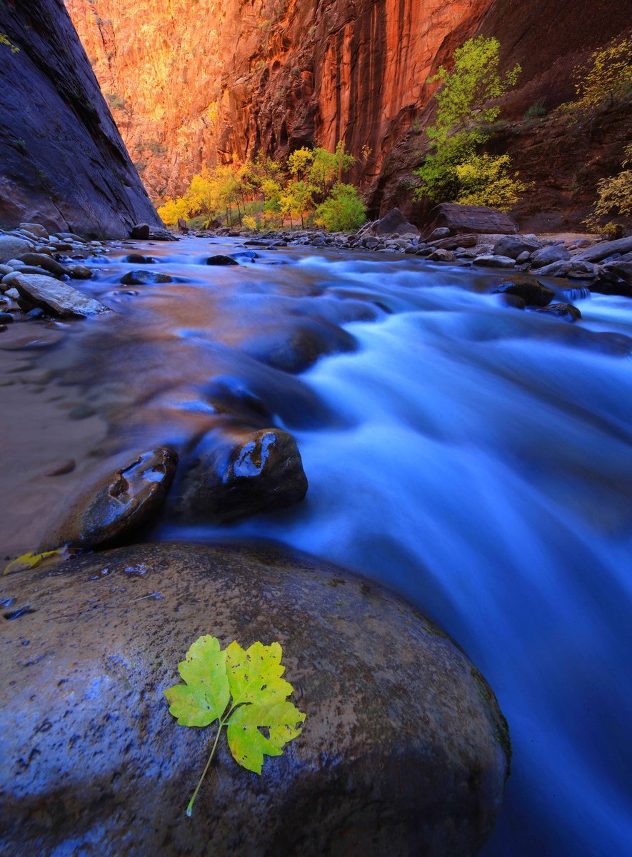Autumn Warrior | RJ Hooper Photography