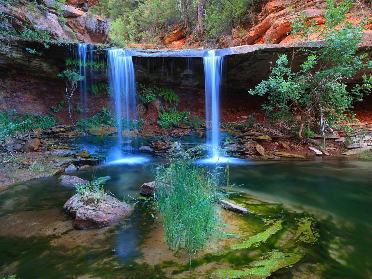 Oasis | RJ Hooper Photography