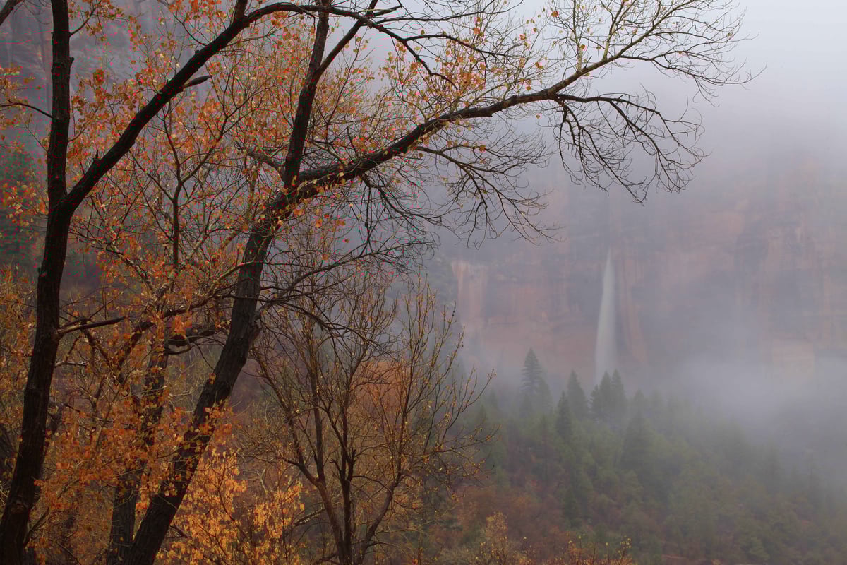Zion Fog | RJ Hooper Photography