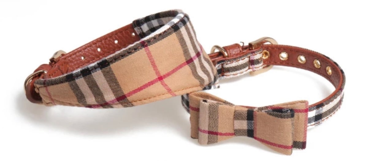 FurBerry Collar | FurBabies Couture