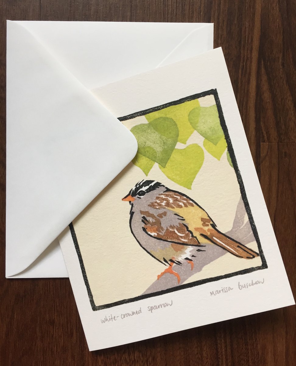 White-crowned sparrow card | sparrow prints