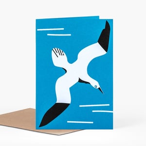 Seabird Card | Pirrip Press