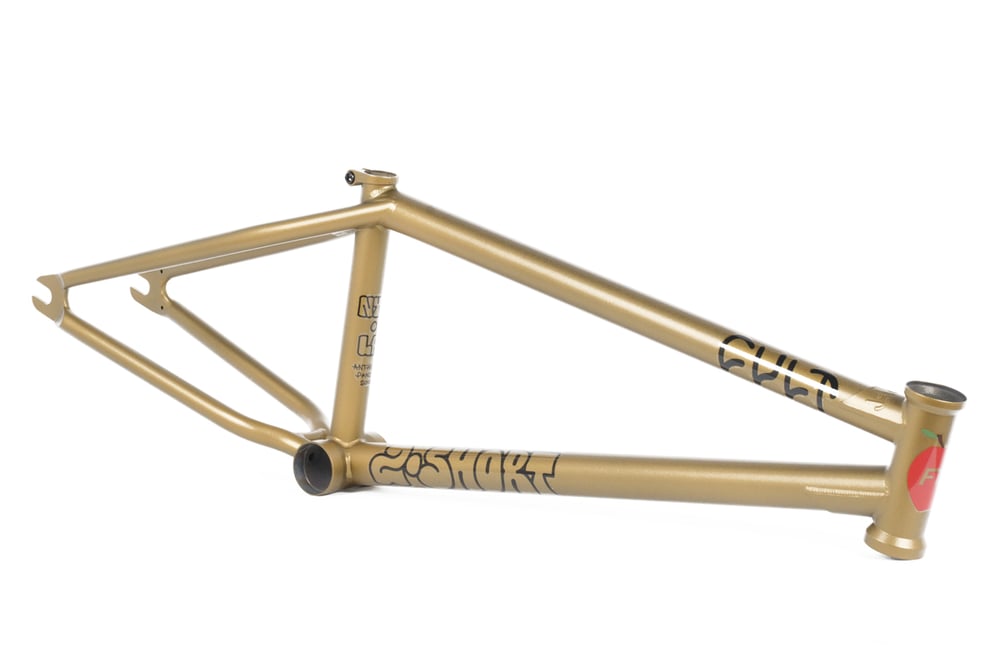 Home | Anthony Panza