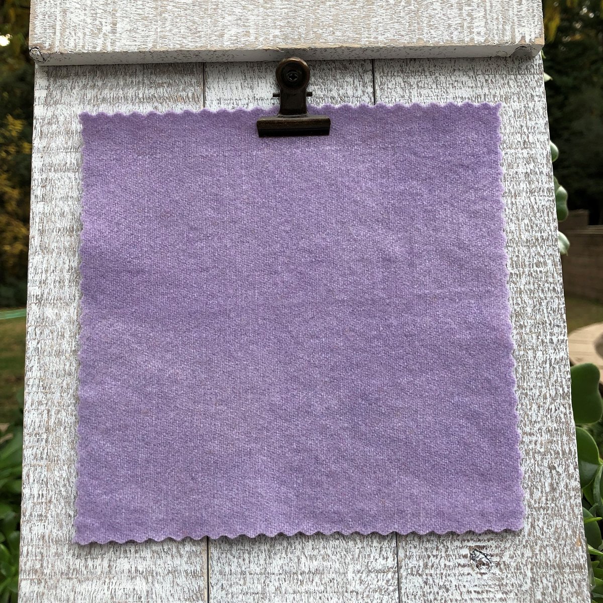 Lavender Light Hand Dyed Wool | westcoastwool