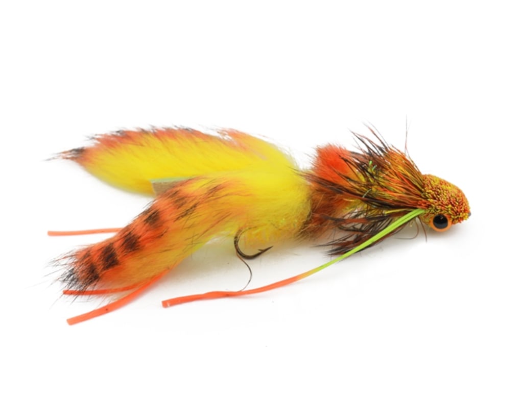 Nancy P | Eastern Trophies Fly Fishing