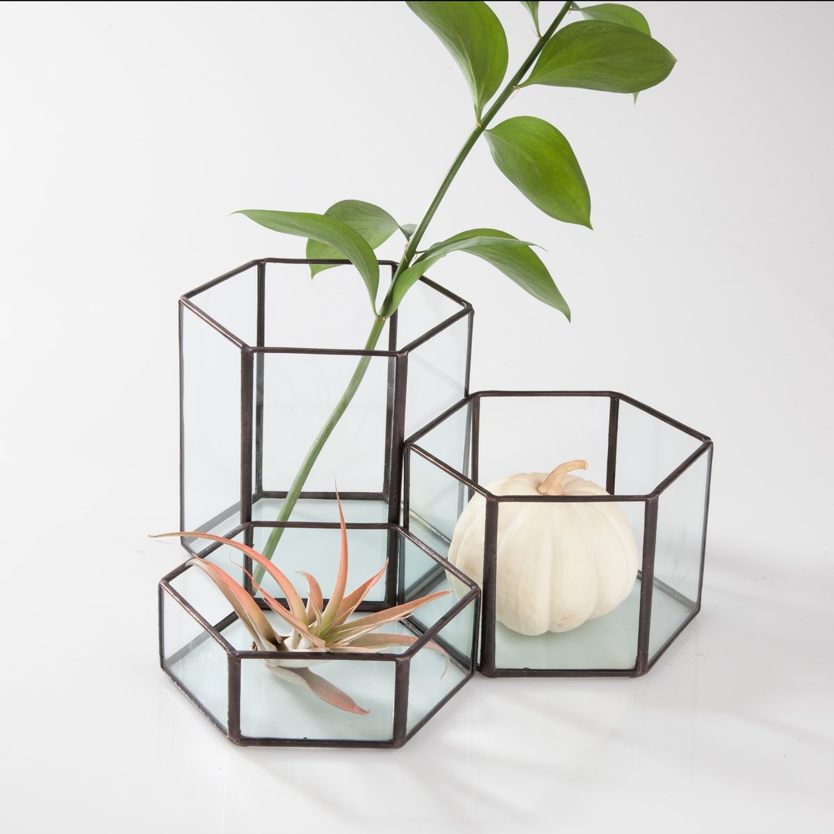 Modular Hexagon Terrariums | Glass House Studios Co