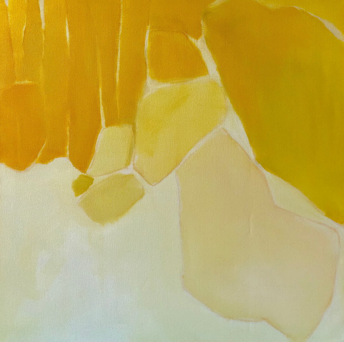 beacon | Rachel Kimball Art
