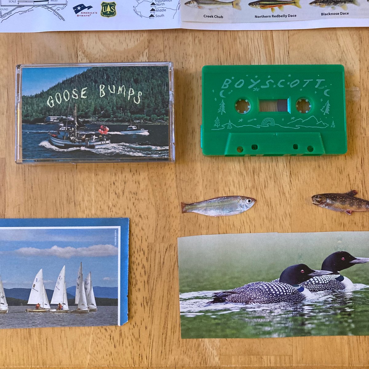 Goose Bumps Tape | Boyscott