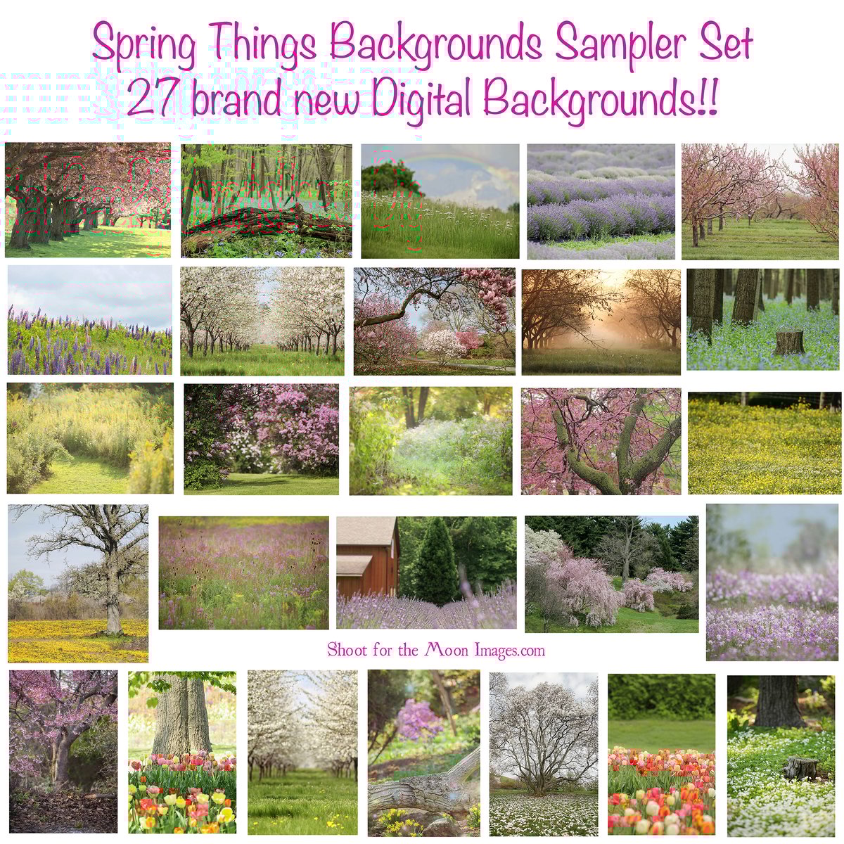 Spring Things Backgrounds Sampler Set | Shoot for the Moon Images ...