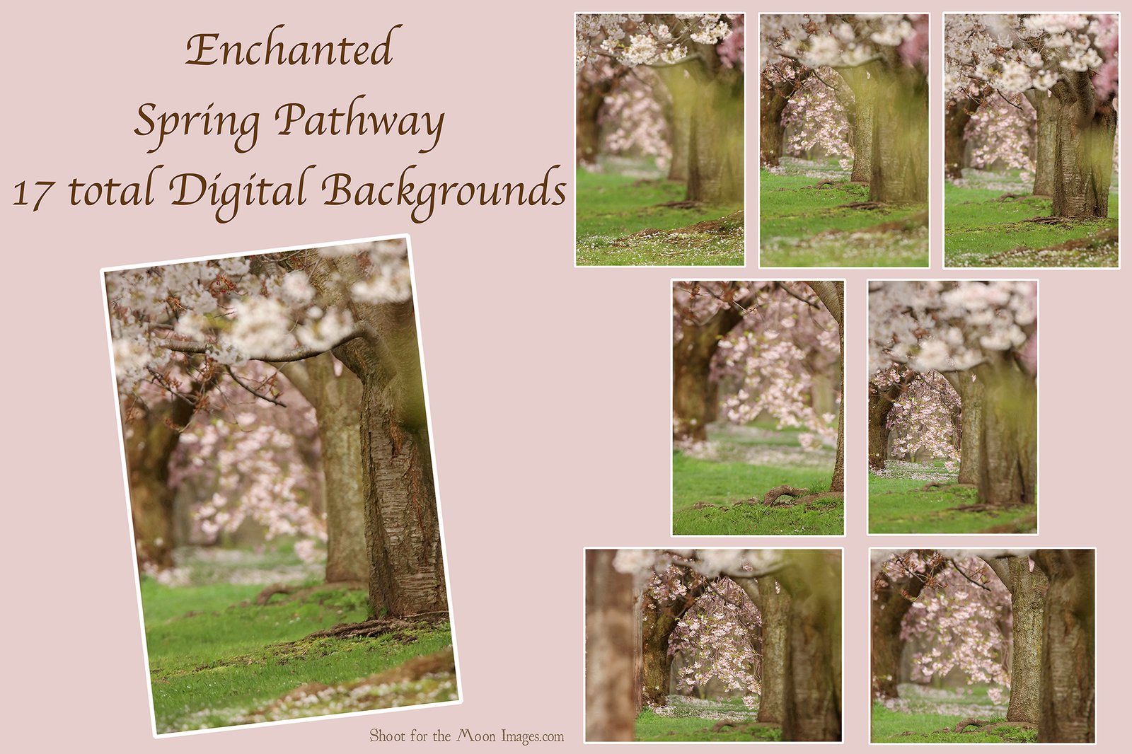 Enchanted Spring Pathway Digital Backgrounds | Shoot for the Moon ...