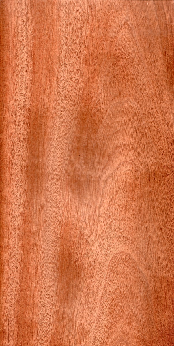 Mahogany (Sapele) (62) | Suffolk Wood Veneers