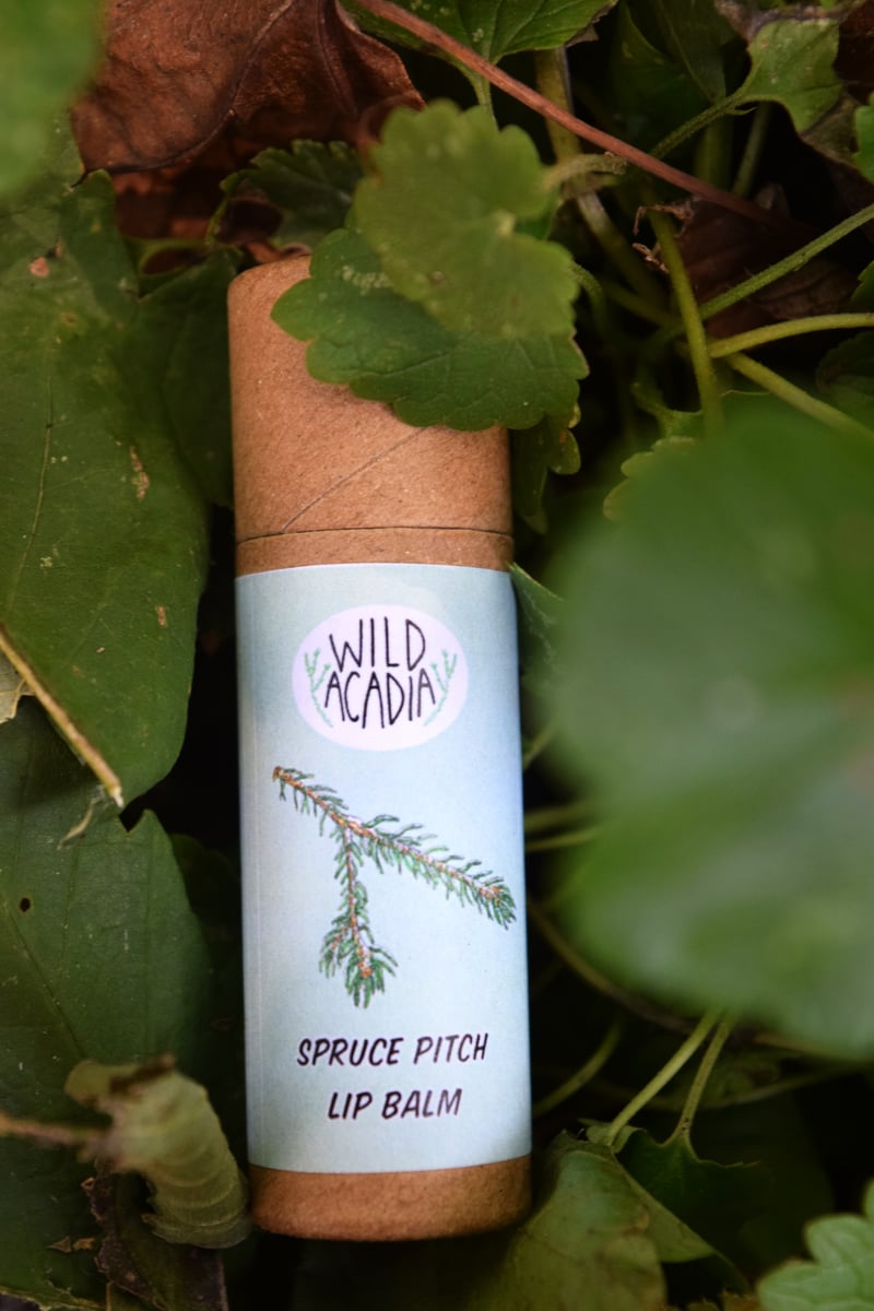 Spruce Pitch Lip Balm | Wild Acadia