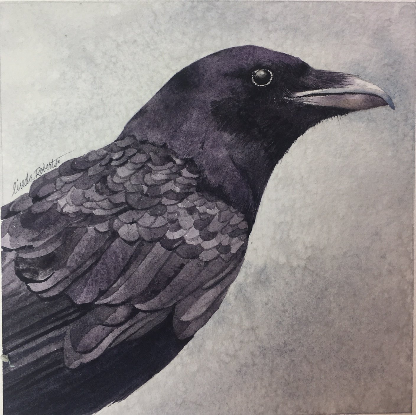 Linda Roberts Gallery — Baltimore Raven